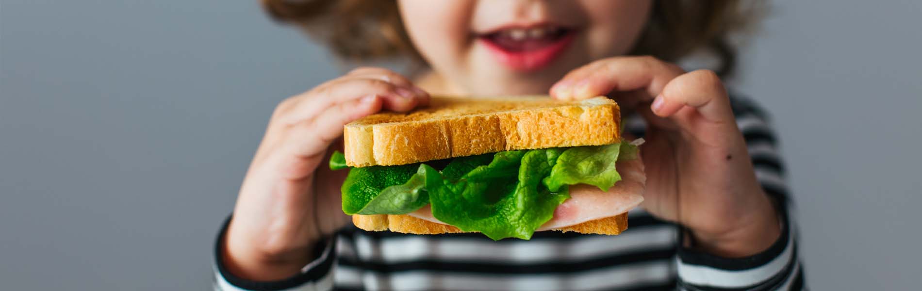 Supporting the Ministry of Education Healthy Schools Lunch Program ...